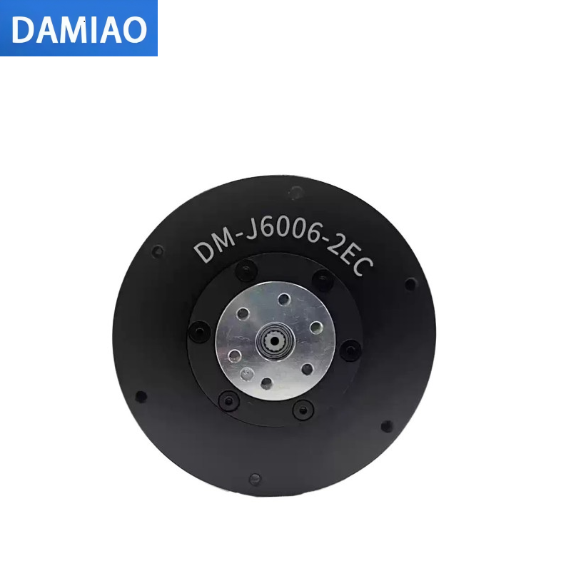 DAMIAO DM-J6006-2EC Motor – AIFITLAB