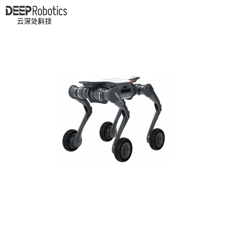 DEEP Robotics LYNX Robot – AIFITLAB