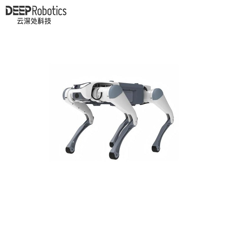 DEEP Robotics Lite3 Robot – AIFITLAB